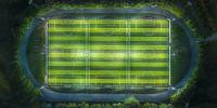 China Realistic Artificial Grass 35mm Pile Height Synthetic Turf for Lawn Pet Garden for sale