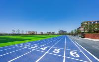 China Recycled Synthetic Running Track Surface Material EPDM Rubber Granules for sale