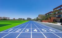China Recycled Synthetic Running Track Surface Material EPDM Rubber Granules for sale