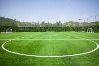 China Realistic Artificial Grass 35mm Pile Height Synthetic Turf for Lawn Pet Garden for sale