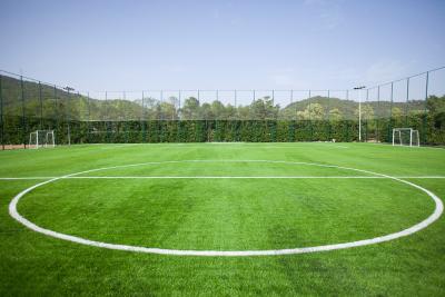 China Realistic Artificial Grass 35mm Pile Height Synthetic Turf for Lawn Pet Garden for sale
