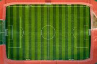 China Soccer Artificial Grasses Sports Landscape Indoor Grass For Pets for sale