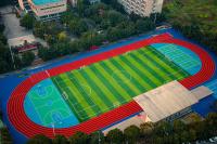 China Soccer Artificial Grasses Sports Landscape Indoor Grass For Pets for sale