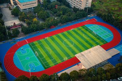 China Soccer Artificial Grasses Sports Landscape Indoor Grass For Pets for sale