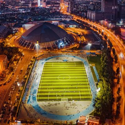 China 25mm Rainbow Artificial Turf Grass PE PP UV Resistant Football Garden Lawn Sports Flooring for sale