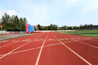 China TPE Granules Jogging Track Rubber Running Track Paint Middle School for sale