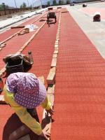 China TPE Granules Jogging Track Rubber Running Track Paint Middle School for sale