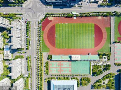 China Wear - Resistant Sandwich System Running Track Rubber Field Athletic for sale
