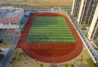 China 13mm Synthetic Athletic Track Surface 0.66N/mm2 Sports Ground Flooring for Multi-Purpose Courts for sale