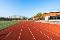 China Colourful Full PU 13MM Running Track Flooring Runway Harmless for sale