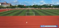 China Prefabricated Rubber Athletic Track 13mm EPDM Sports Flooring for Outdoor Stadium for sale