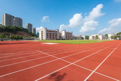 China 13mm Synthetic Athletic Track Surface 0.66N/mm2 Sports Ground Flooring for Multi-Purpose Courts for sale