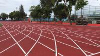 China Good Color Fastness Jogging durable Sandwich System Running Track for sale