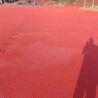 China IAAF Full PU Sports Flooring Outdoor Synthetic Rubber Running Track 13mm for sale
