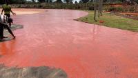 China Full Pour System Running Track Synthetic Runway Rubber Athletic Track for sale