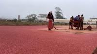 China Stadium School Jogging Track Material EPDM SBR Surfaces All Weather Rustproof for sale