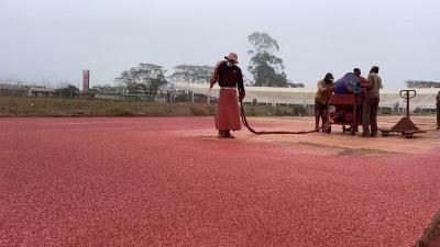 China Stadium School Jogging Track Material EPDM SBR Surfaces All Weather Rustproof for sale