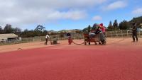 China EPDM Rubber Granules Running Track 13mm Thickness Rustproof Outdoor Court Surface for sale
