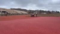 China 10mm Thickness Rubber Jogging Track Material Corrosion Resistance for sale