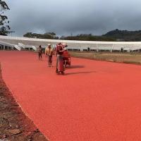 China IAAF Certification Rubber Tartan Running Tracks EPDM Jogging Track System for sale