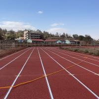China EPDM Rubber Granules Running Track 13mm Thickness Rustproof Outdoor Court Surface for sale