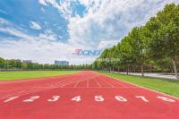 China Weather Resistance Sandwich System Running Track Synthetic Sports Flooring 13mm for sale