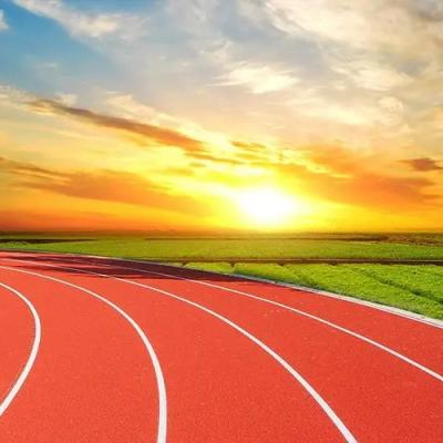 China 13mm Hybrid SBR EPDM Eco Sports Flooring High Durability Jogging Track for sale