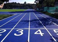 China EPDM Rubber Granules 1-4mm for Sports Flooring Running Track Playground 25kg Bag for sale
