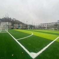 China 16800 Needle No Infill Artificial Football Grass 35mm Pile Height PP PE Yarn Fadeless Turf for sale