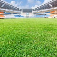 China All Weather Football Artificial Turf Grass PE Fibers Fake Lawn 15mm Pile Height for sale