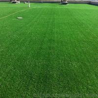 China Apple Green 20mm Artificial Grass Roll UV Resistant Turf Mats for Field Hockey for sale