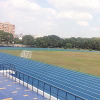 China SGS Certified Sound Absorbent Synthetic Rubber Flooring 13mm Custom Size for sale