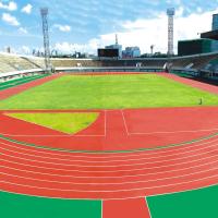 China ITF Multicolor Antimicrobial Recycled Rubber Flooring 13mm Harmless Odorless for sale