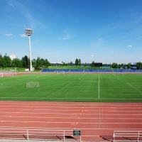 China Eco Friendly Synthetic Sports Flooring 13mm Red All Weather Running Track for sale