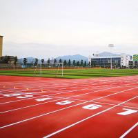 China Prefabricated Synthetic Rubber Running Track 13mm IAAF Certified Wear Resistant Flooring for sale