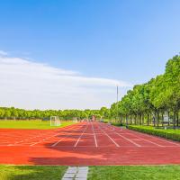 China Harmless Eco Sports Flooring Athletic Odorless Red Running Track for sale