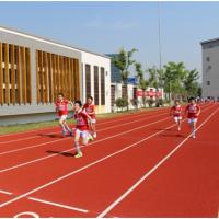 China High Strength Prefabricated Synthetic Rubber Running Track 13mm IAAF Certified All Weather Surface for sale