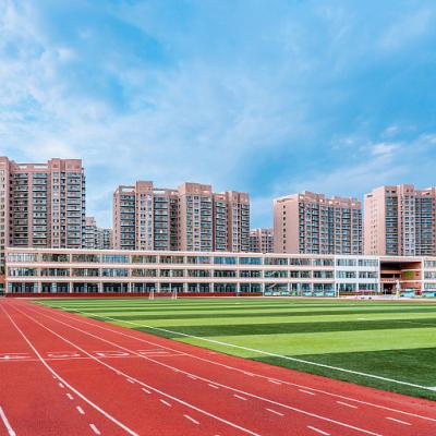 China High Strength Prefabricated Synthetic Rubber Running Track 13mm IAAF Certified All Weather Surface for sale