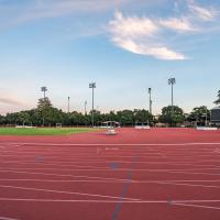 China Multi Purpose 9mm Outdoor Sports Surfaces EPDM Granules + PU Binder for sale