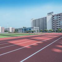 China Multi Purpose 9mm Outdoor Sports Surfaces EPDM Granules + PU Binder for sale