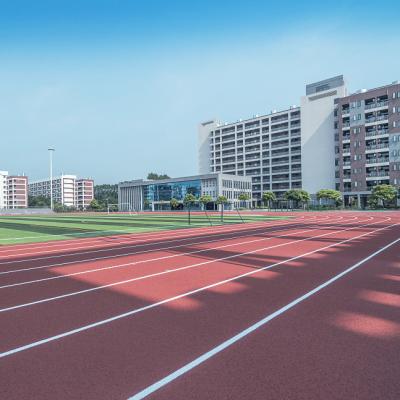 China Multi Purpose 9mm Outdoor Sports Surfaces EPDM Granules + PU Binder for sale