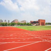 China Harmless Full PU Athletic Track Synthetic Outdoor Flooring Antifade for sale