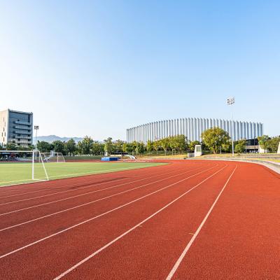 China Harmless Full PU Athletic Track Synthetic Outdoor Flooring Antifade for sale