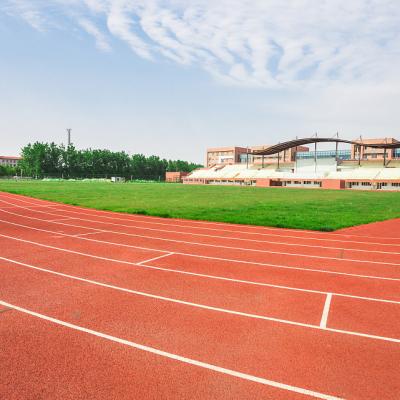 China 13mm Fire Resistant Sandwich System Running Track Moisture Proof EPDM Playground Flooring for sale
