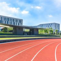 China Recycled 13mm EPDM SBR Synthetic Rubber Flooring for Sports Courts and Running Tracks for sale