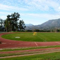 China 13mm PU Glue Mix SBR Rubber Particle Running Track Surface Eco-Friendly for sale