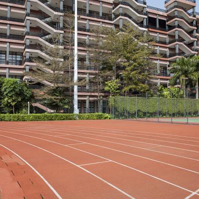 China Iaaf Rubber Mixed Tartan Athletic Track Spray Coat System Runway for sale