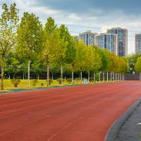 China Corrosion Resistant Synthetic Permeable All Weather Track Surface for sale