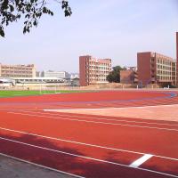China 13mm EPDM Running Track Flooring Non Toxic Indoor Badminton Court Fadeless for sale