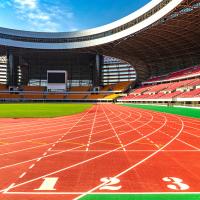China ISO IAF Certificated Self Knot Pattern Outdoor Jogging Track Eco-Friendly for sale